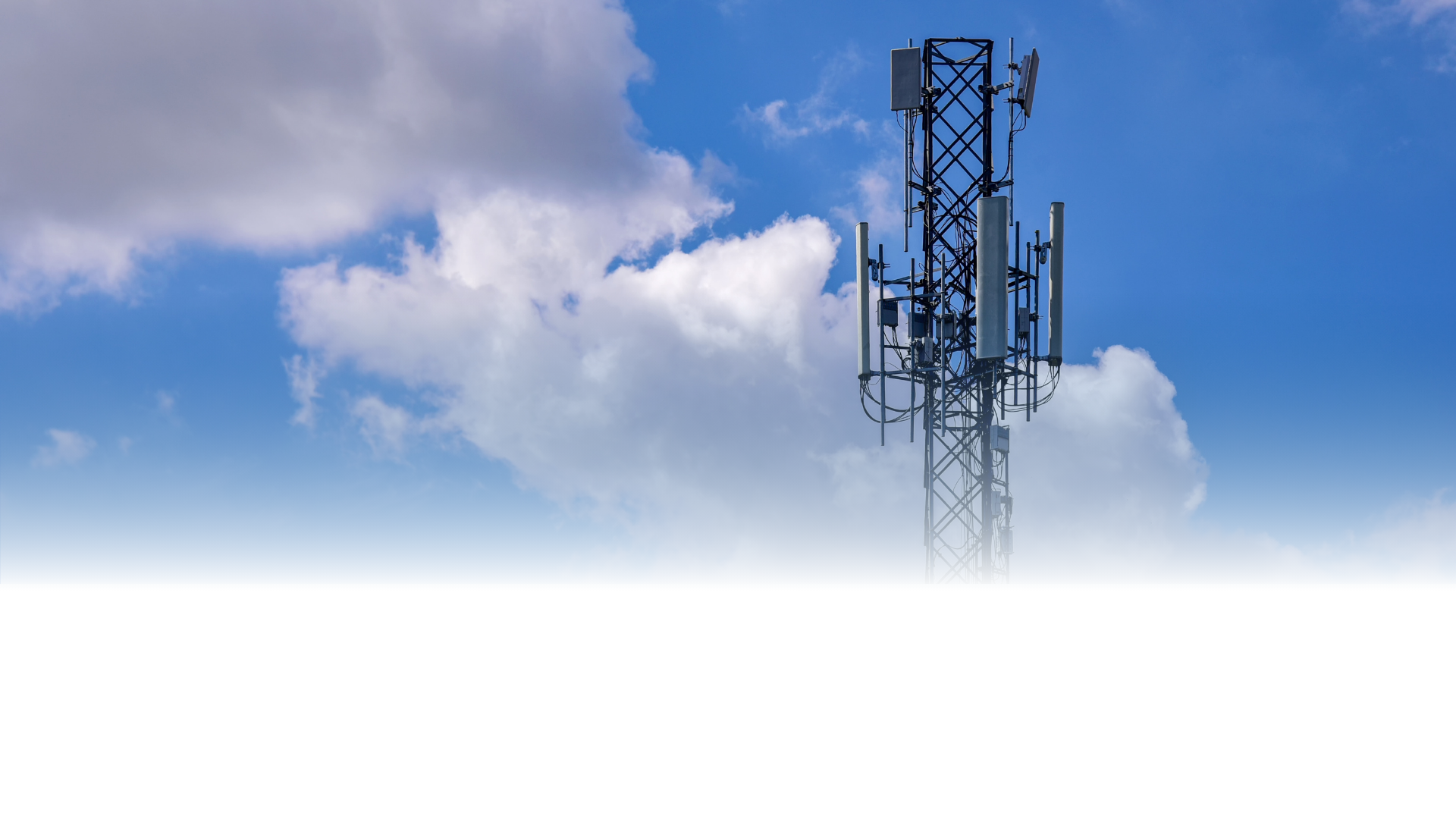 Webinar: Key Features and Strategies for the Canadian Market - TCOR ...